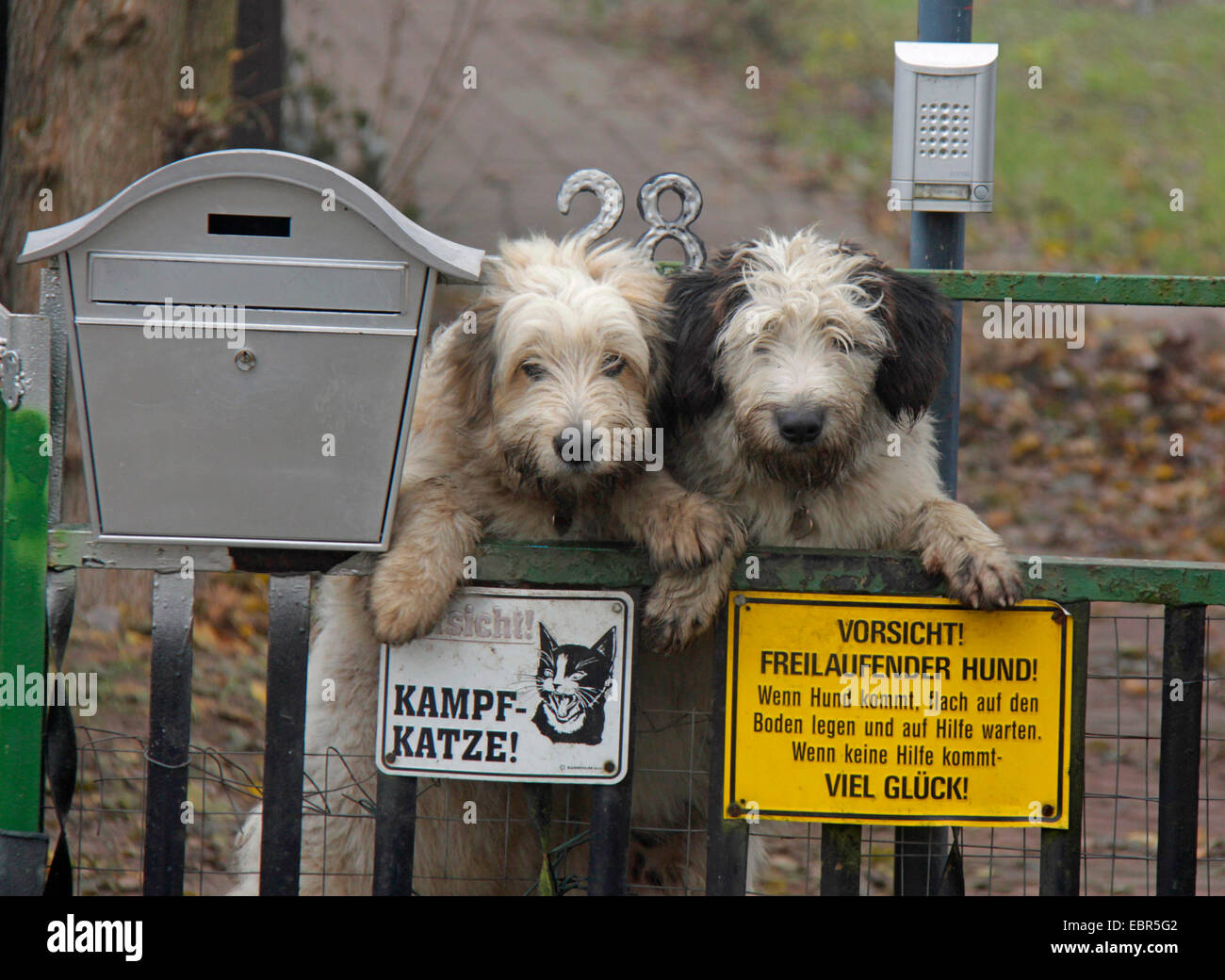 Watchdog at a gate with mail box and warning sign hi-res stock ...