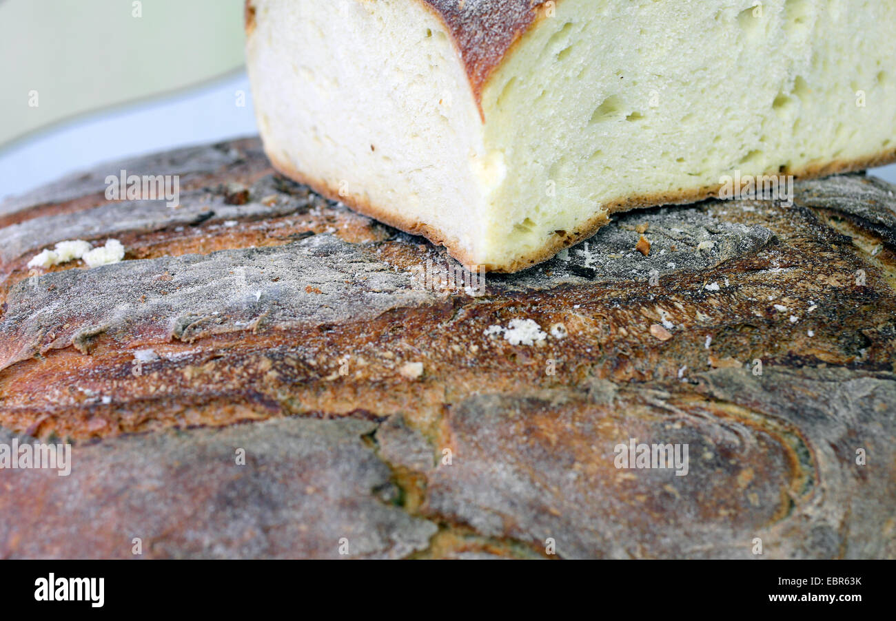 Bio bread hi-res stock photography and images - Alamy