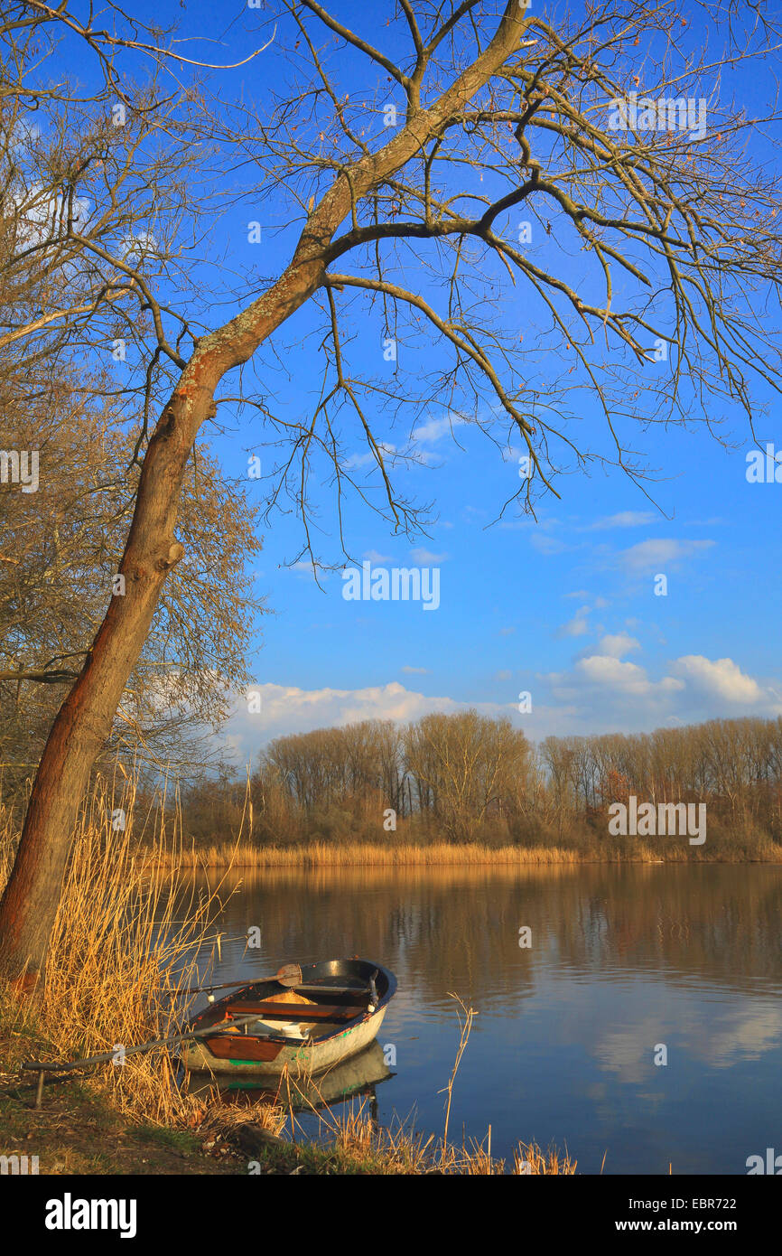 landscape at the Old Rhine in spring, Germany Stock Photo - Alamy