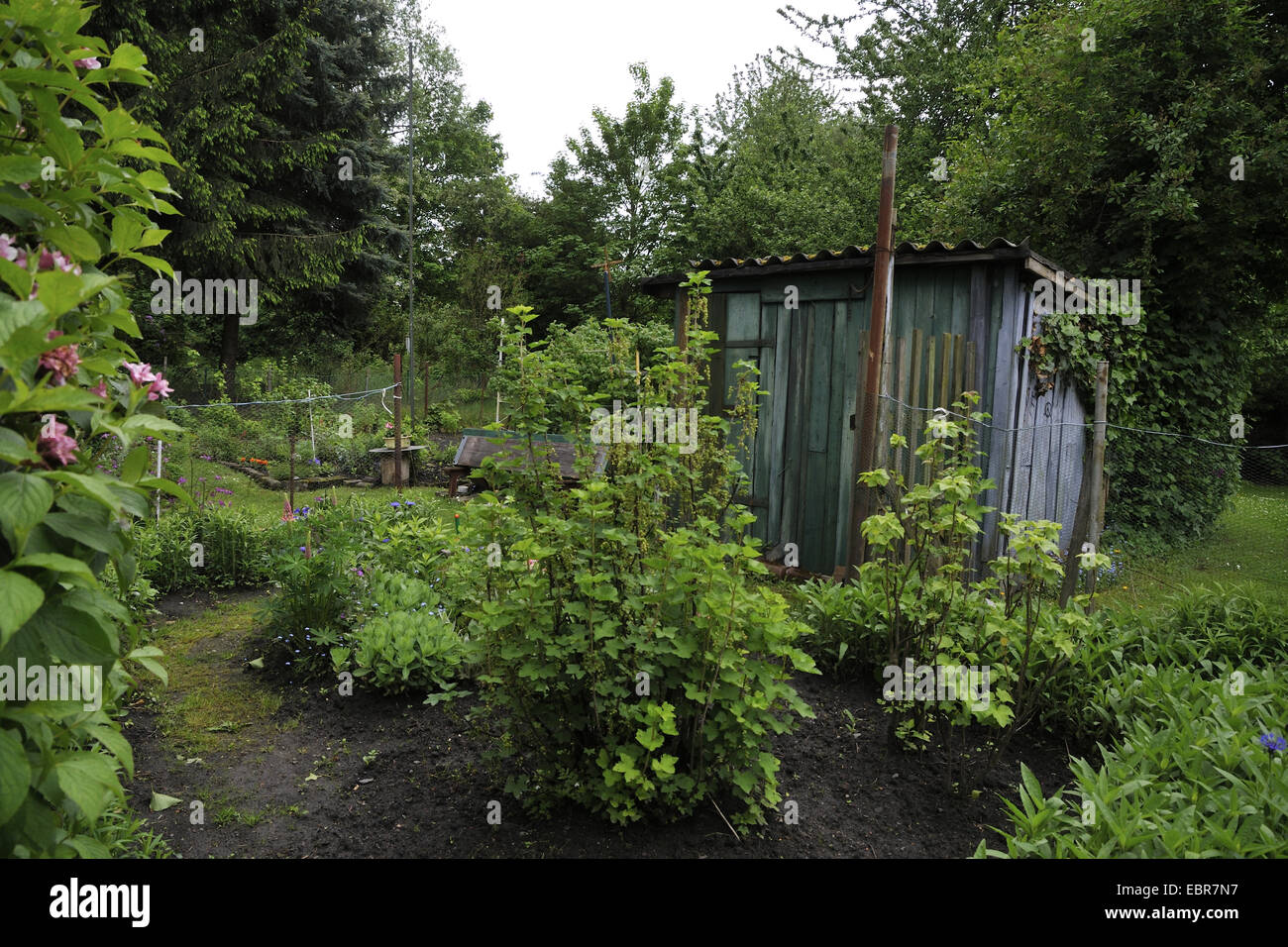 Garden sheds hi-res stock photography and images - Alamy