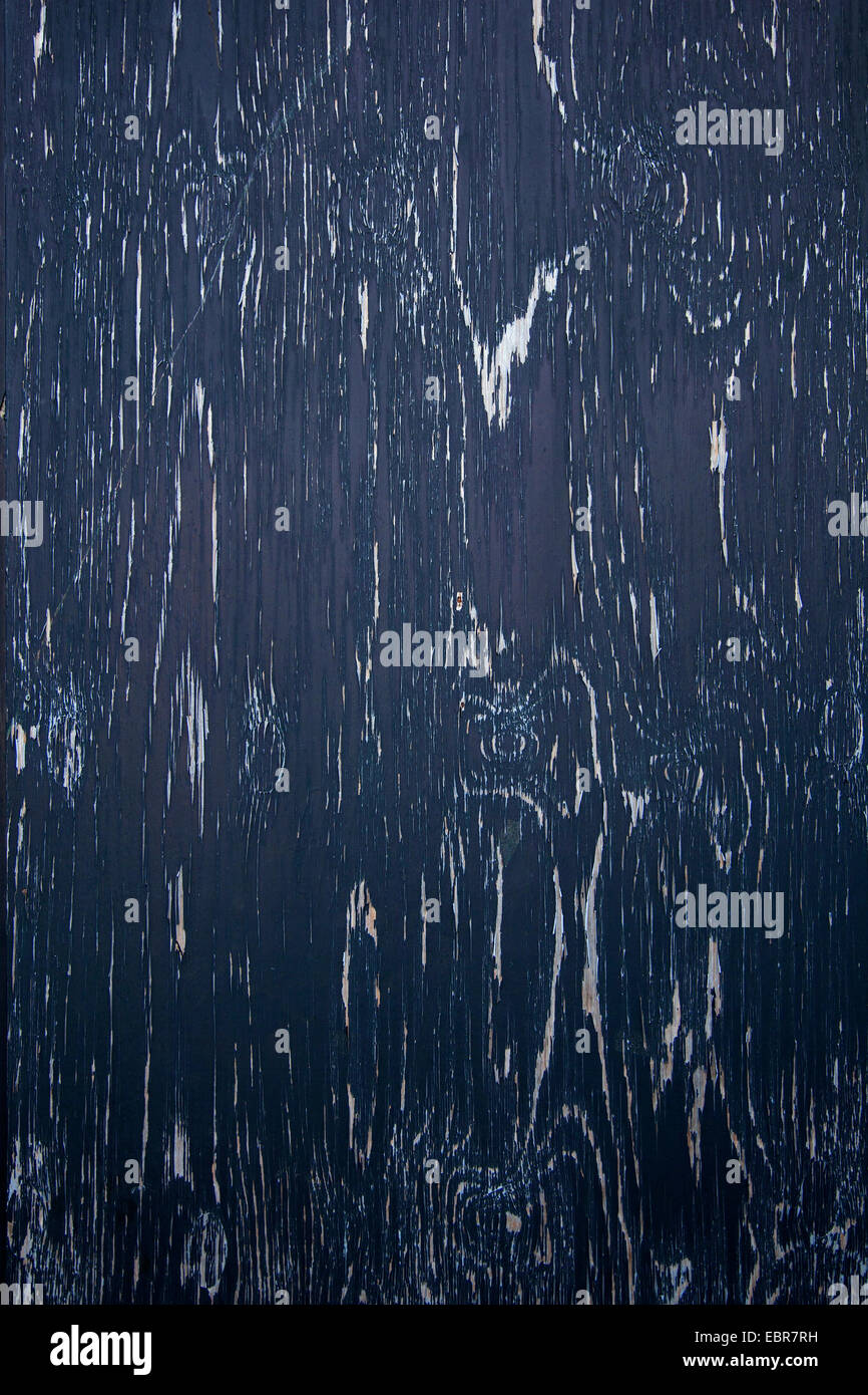 Backdrop blueish hi-res stock photography and images - Alamy