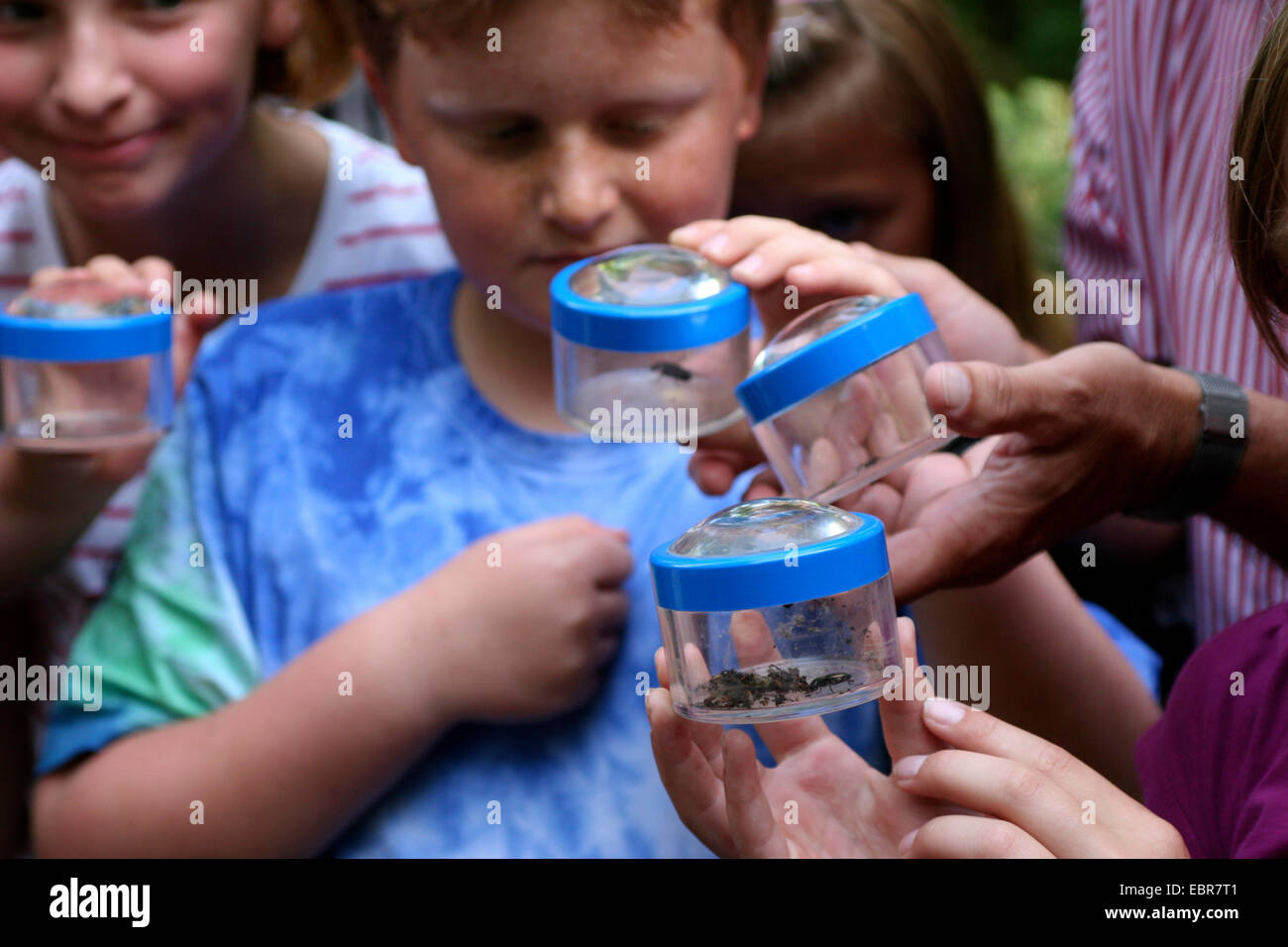 children lookiing at insects in bug viewers, Germany Stock Photo - Alamy