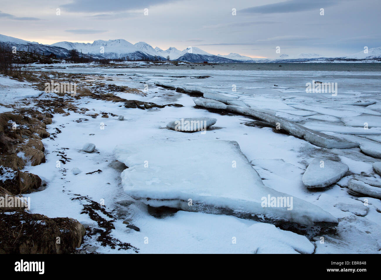 Pack ice on the beach hi-res stock photography and images - Alamy