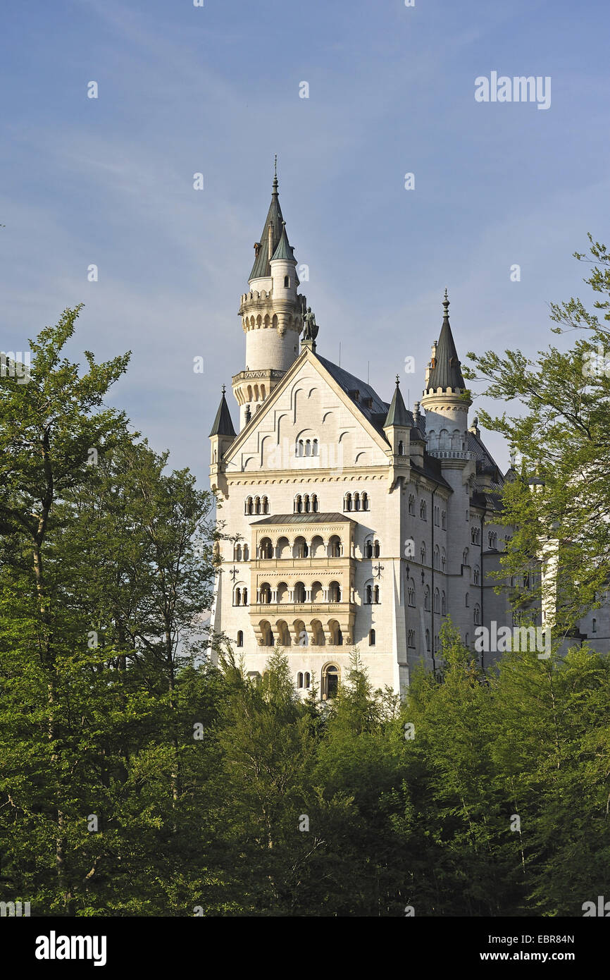 Castle Neuschwanstein, Germany, Bavaria, Ostallgaeu Stock Photo - Alamy