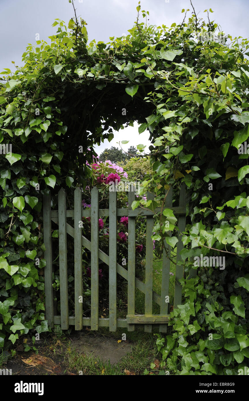 Garden entrance gate ivy hi-res stock photography and images - Alamy