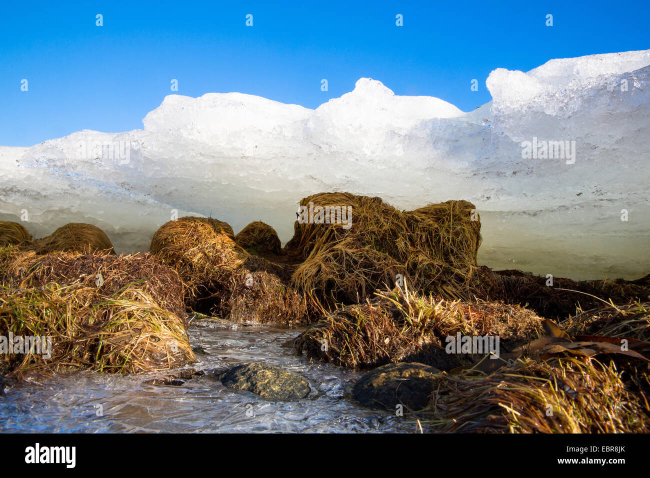 Ice at the beach hi-res stock photography and images - Alamy