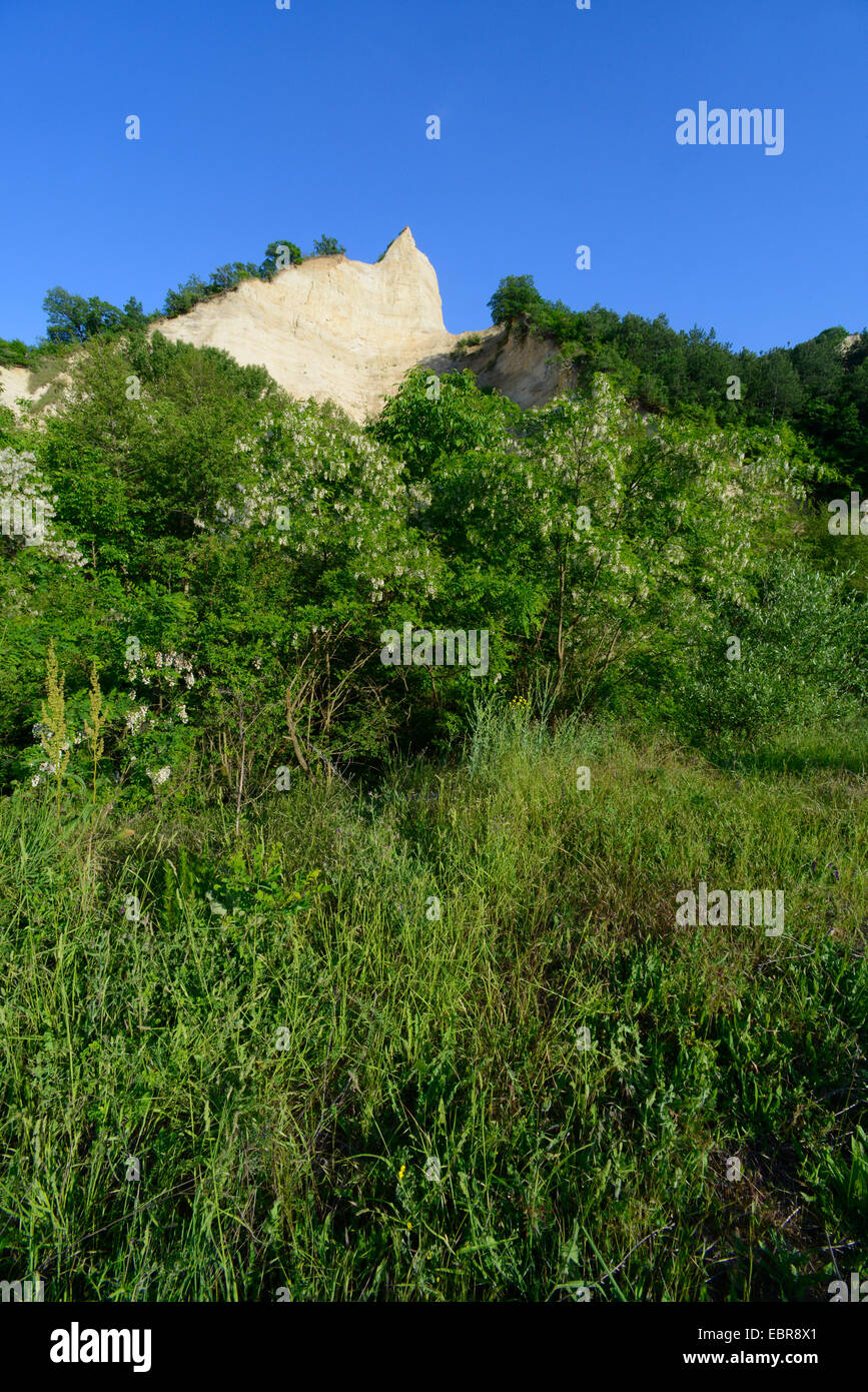 sandstone pyramids of Melnik, Bulgaria, Melnik Stock Photo - Alamy