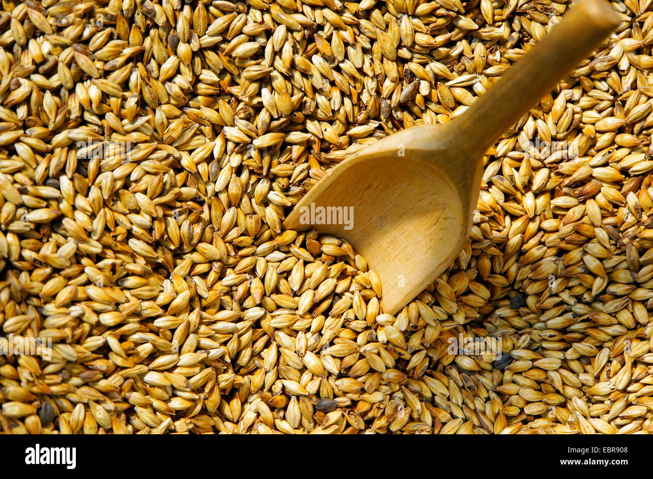 Beer fabrication hi-res stock photography and images - Alamy