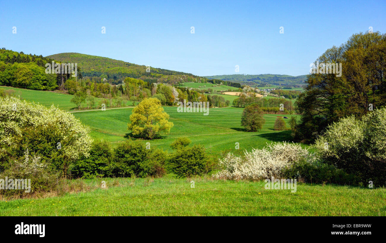 Steffenberg hi-res stock photography and images - Alamy