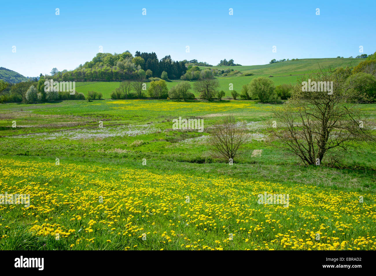 Weibern hi-res stock photography and images - Alamy