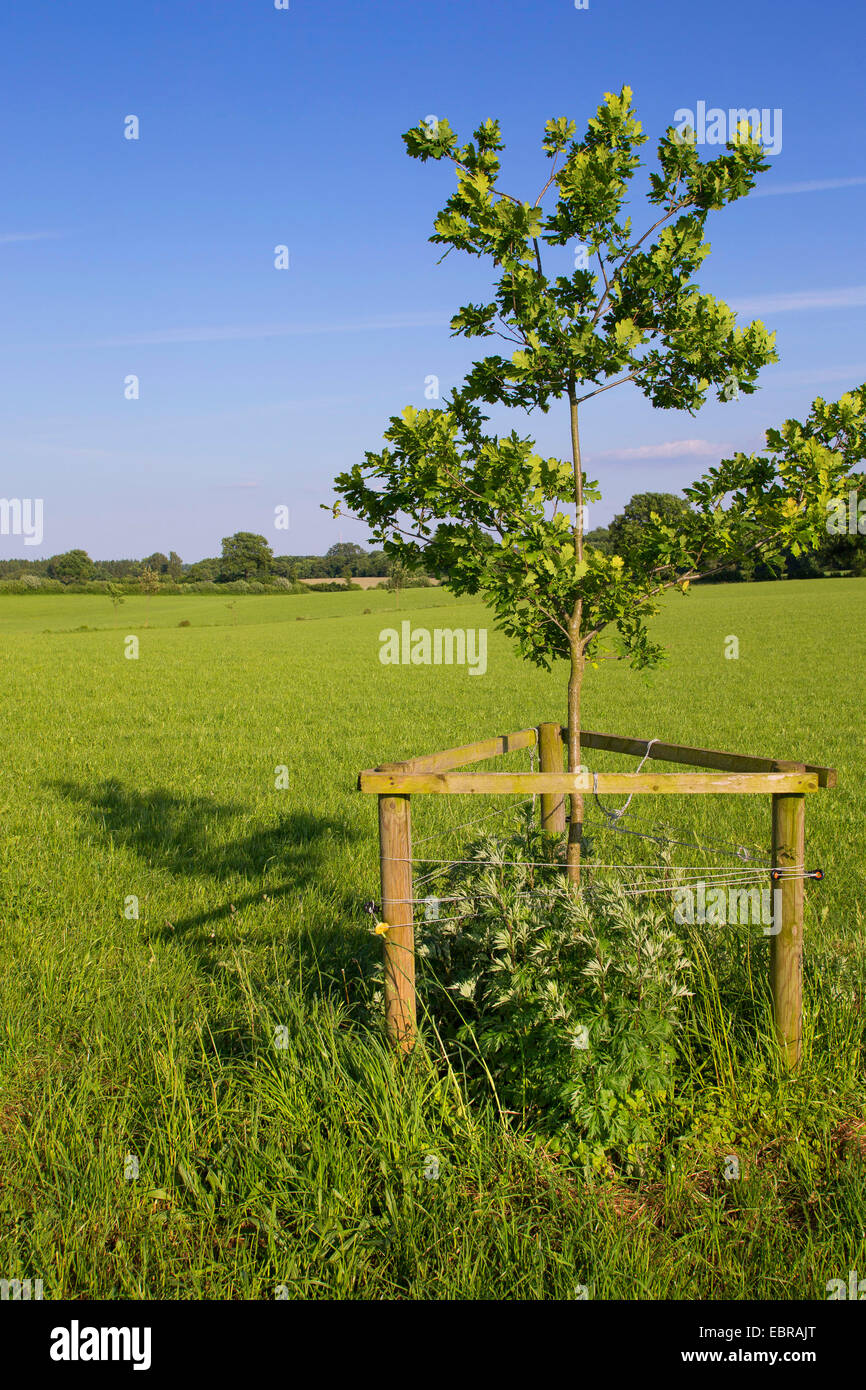 Edge planting hi-res stock photography and images - Alamy