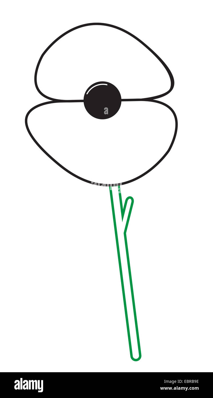 Poppy Outline