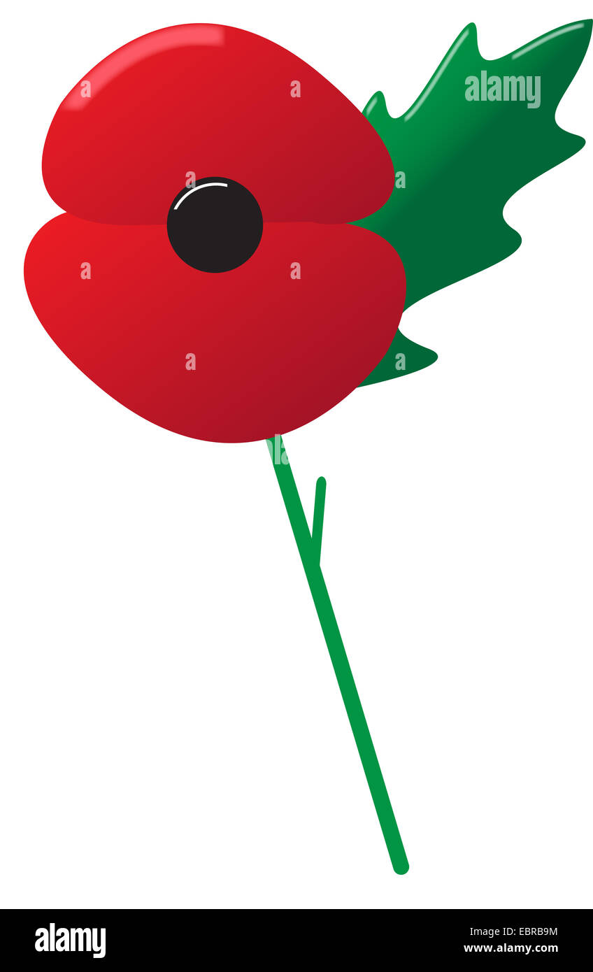 A poppy design isolated on a white background Stock Photo - Alamy