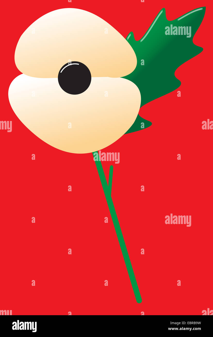 A poppy design isolated on a white background Stock Photo - Alamy
