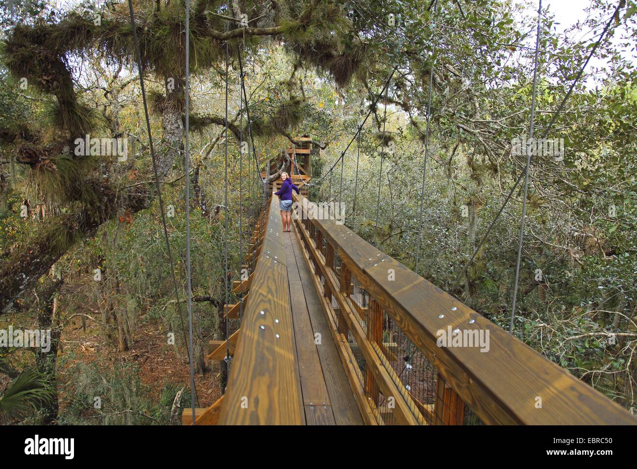 Canopy pathway hi-res stock photography and images - Alamy