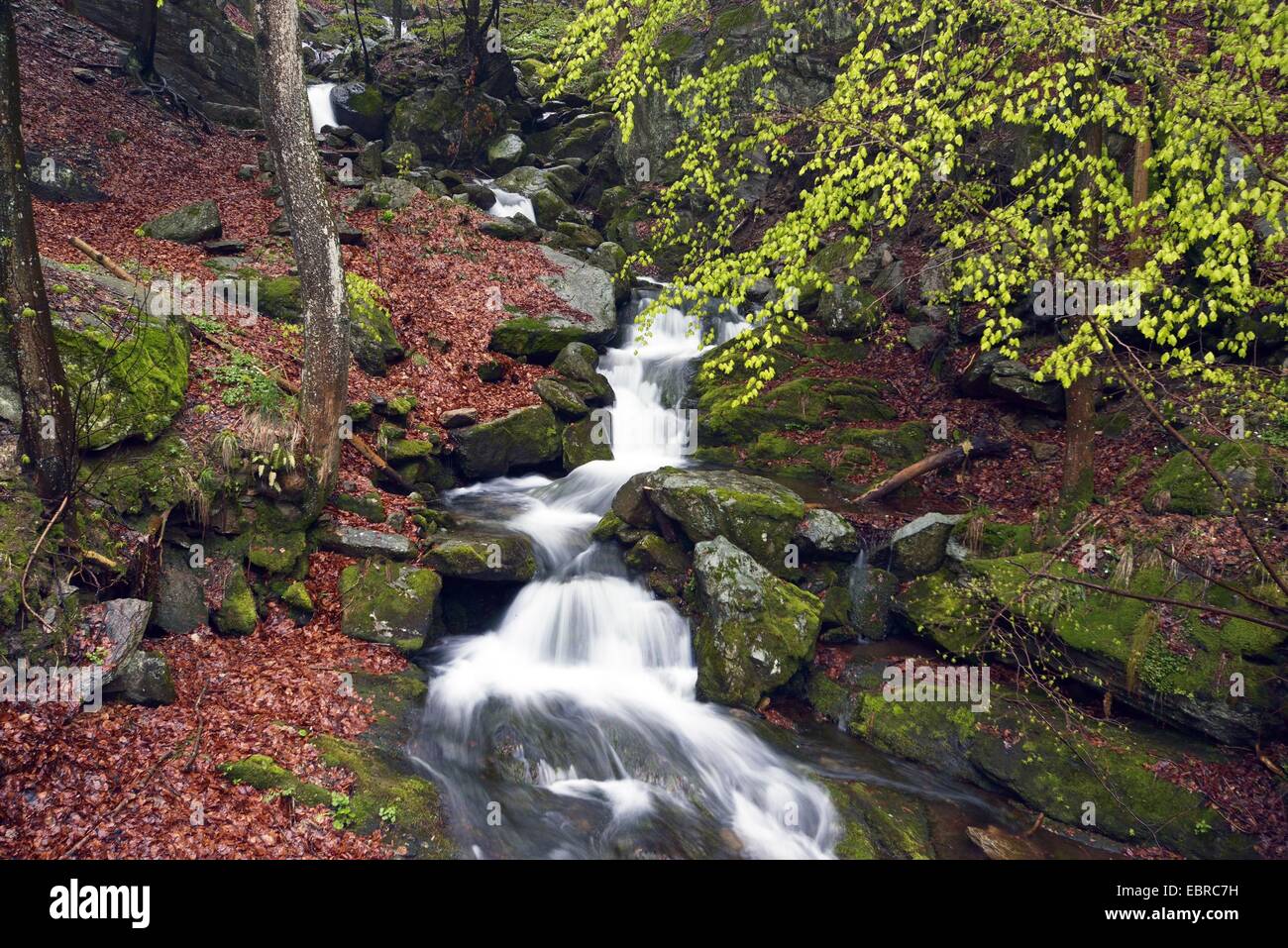 Orapa High Resolution Stock Photography and Images - Alamy