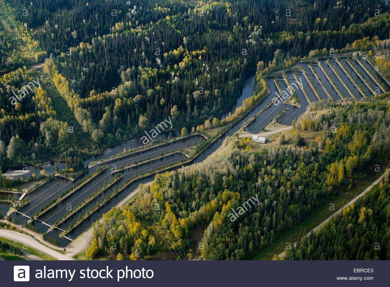 Fish farm hatchery hi-res stock photography and images - Alamy