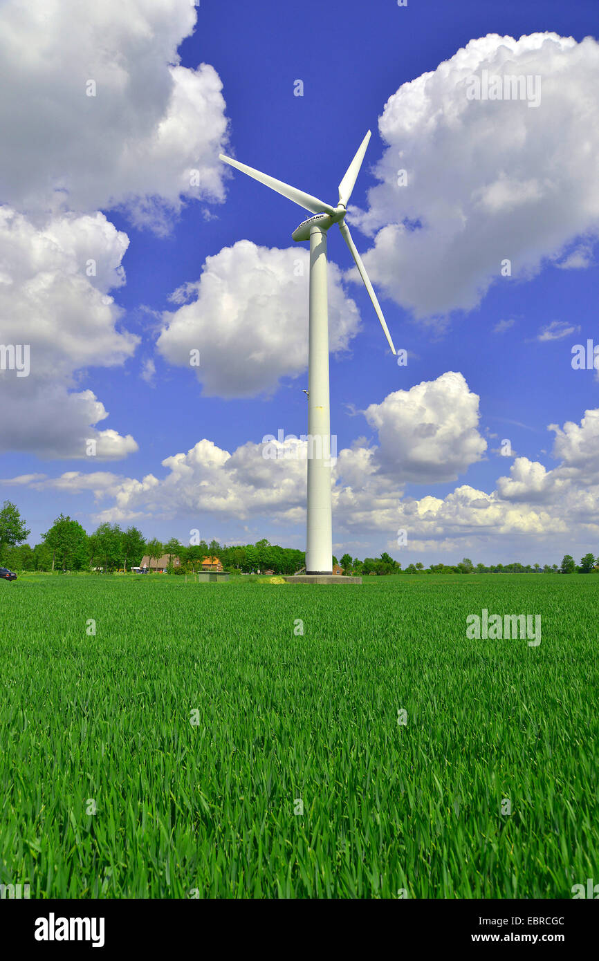 windmill, Germany, Lower Saxony, Frisia Stock Photo - Alamy windmill, Germany, Lower Saxony, Frisia Stock Photo - Alamy