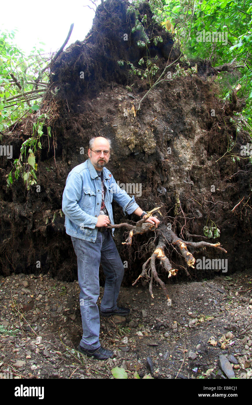 man standing in front of root system of a disrooted birch, storm front ...