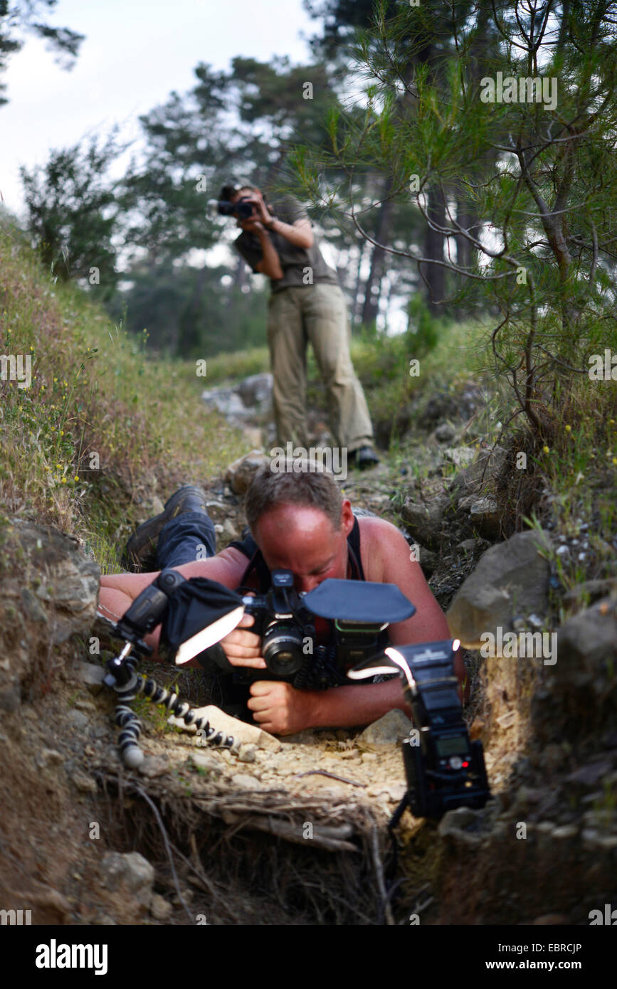 Turkish Worm Lizard, Anatolian Worm Lizard (Blanus strauchi), biologist ...