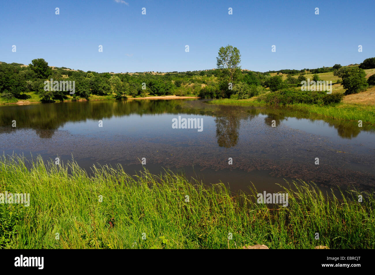lake in Thracia, Turkey, Thrace Stock Photo - Alamy