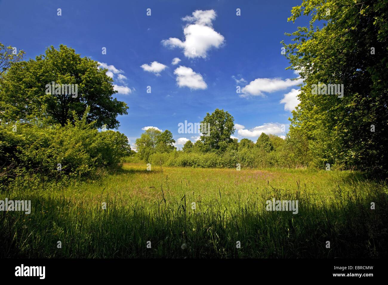 North german plains hi-res stock photography and images - Alamy