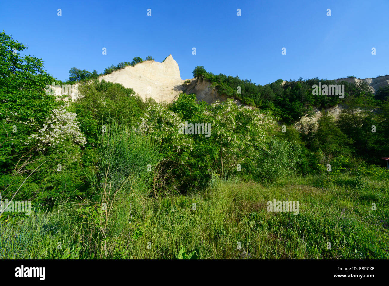 sandstone pyramids of Melnik, Bulgaria, Pirin-Gebirge, Melnik Stock ...
