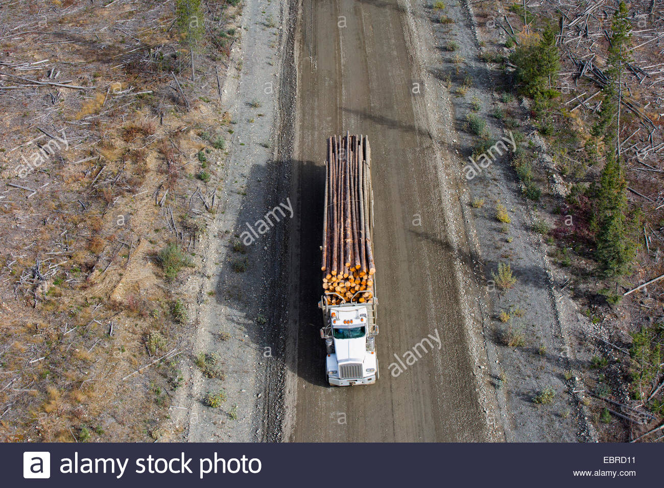 Semi-truck carrying timber on dirt road Stock Photo - Alamy