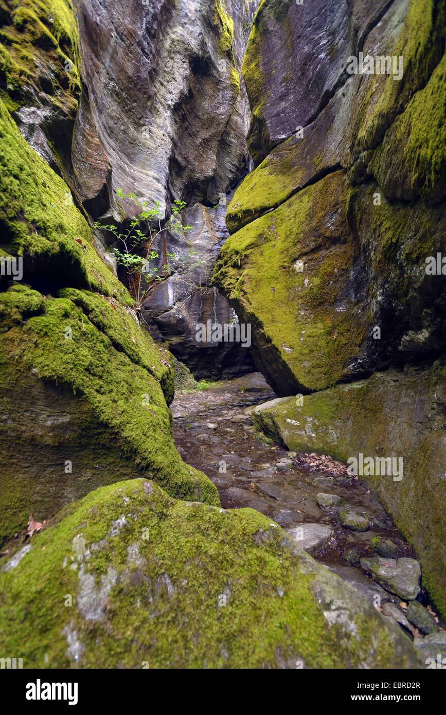Deep canyon in Uriezzo near Domodossola, italia, Italy Stock Photo - Alamy