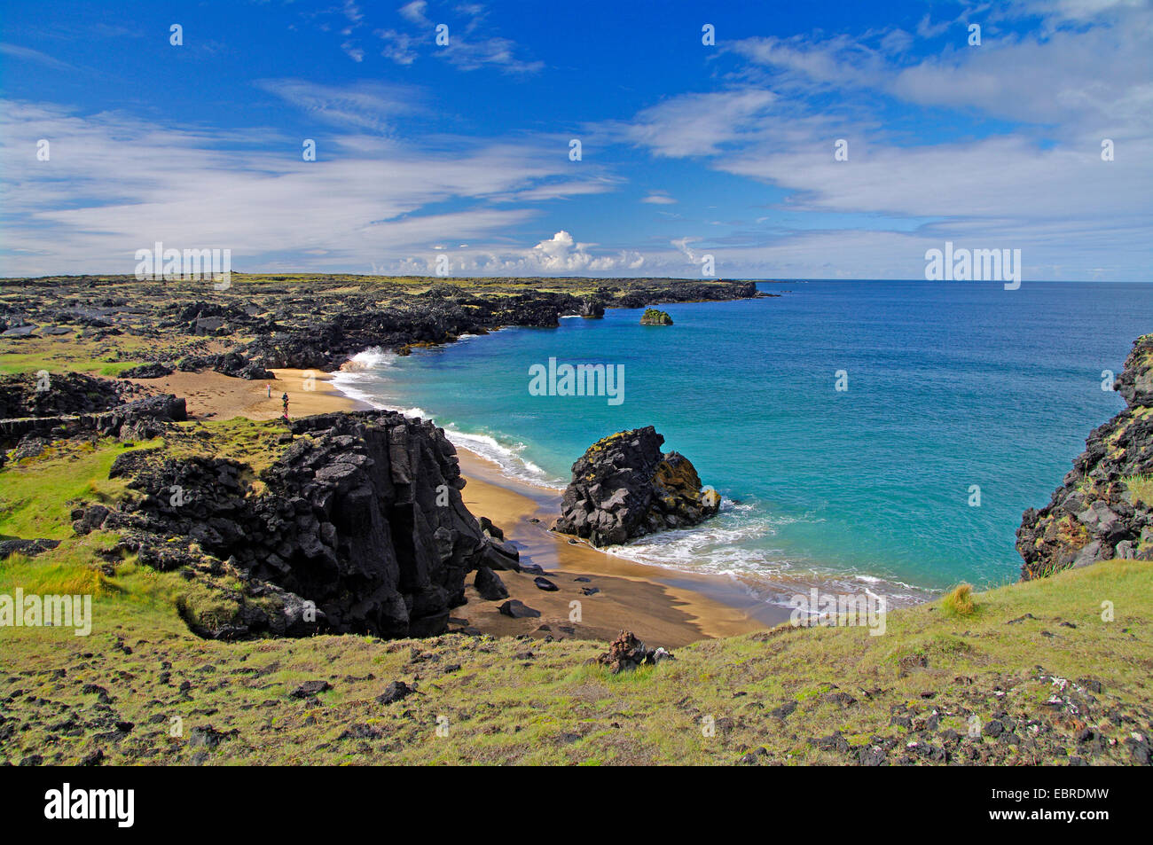 coastal line with lava rocks, Iceland, Snaelellnes, Skardsvik Stock ...