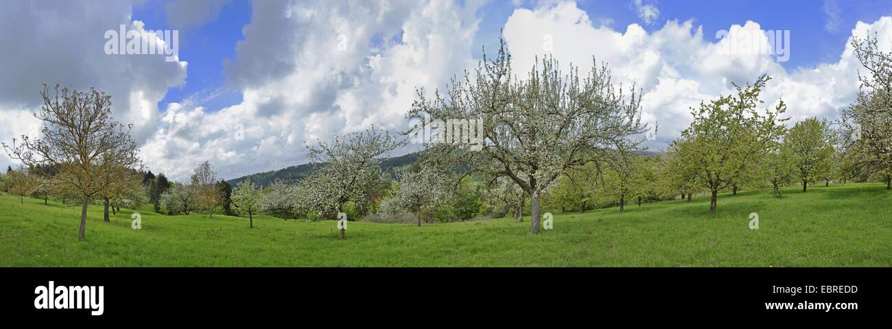 Fruit plantation hi-res stock photography and images - Alamy