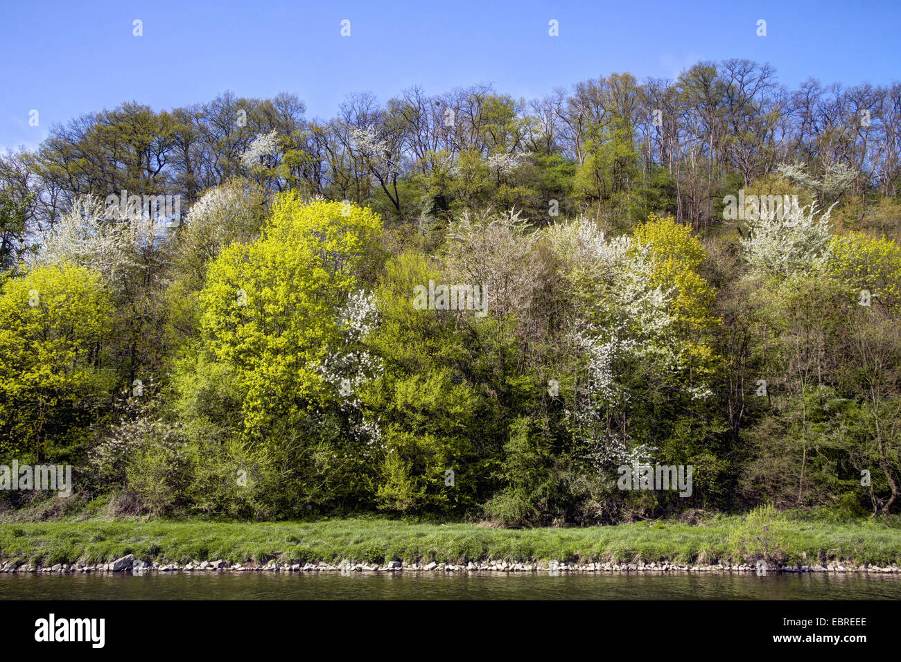 North german plains hi-res stock photography and images - Alamy