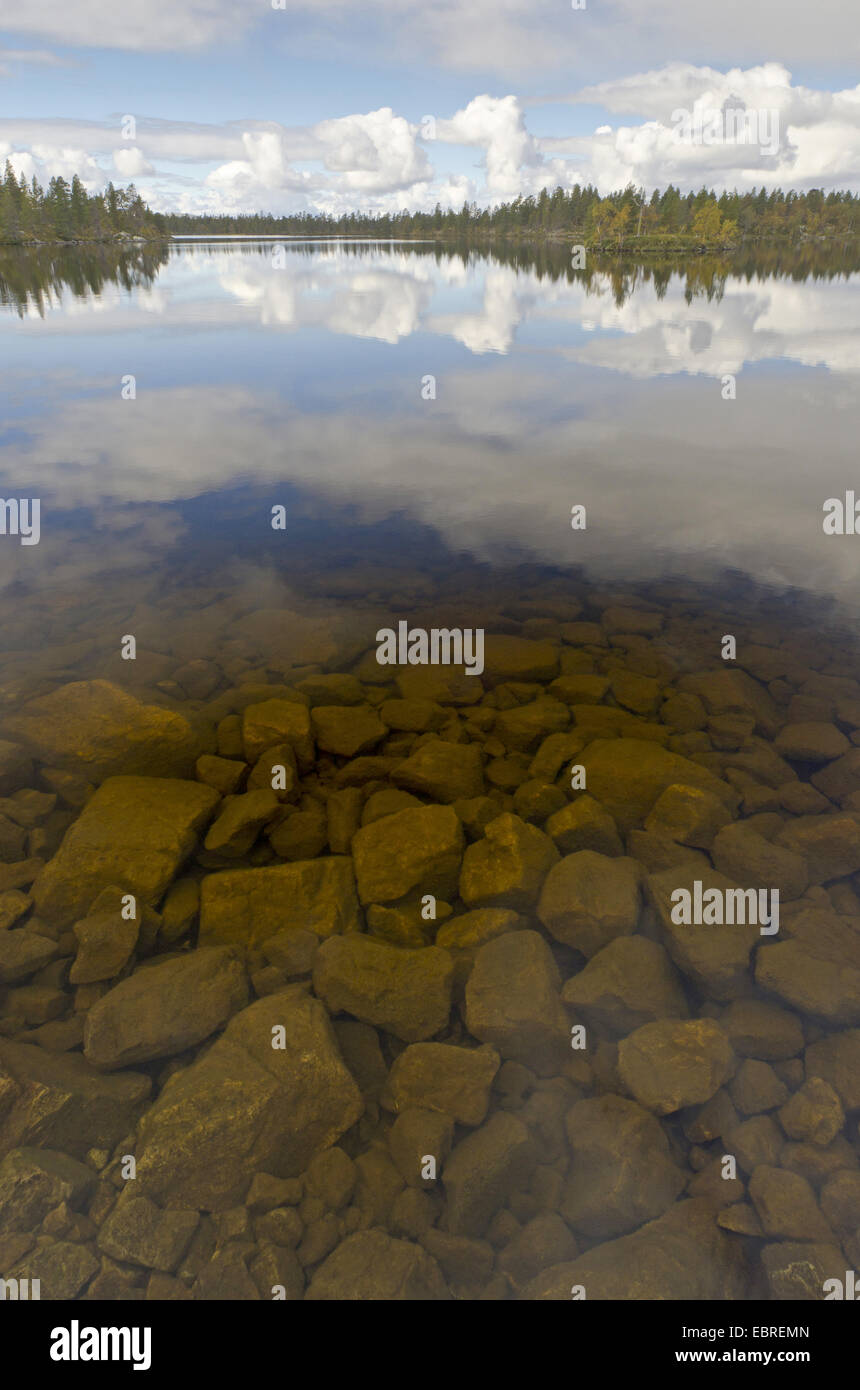 clouds mirroring in a lake, Sweden, Haerjedalen, Naturreservat Rogen ...