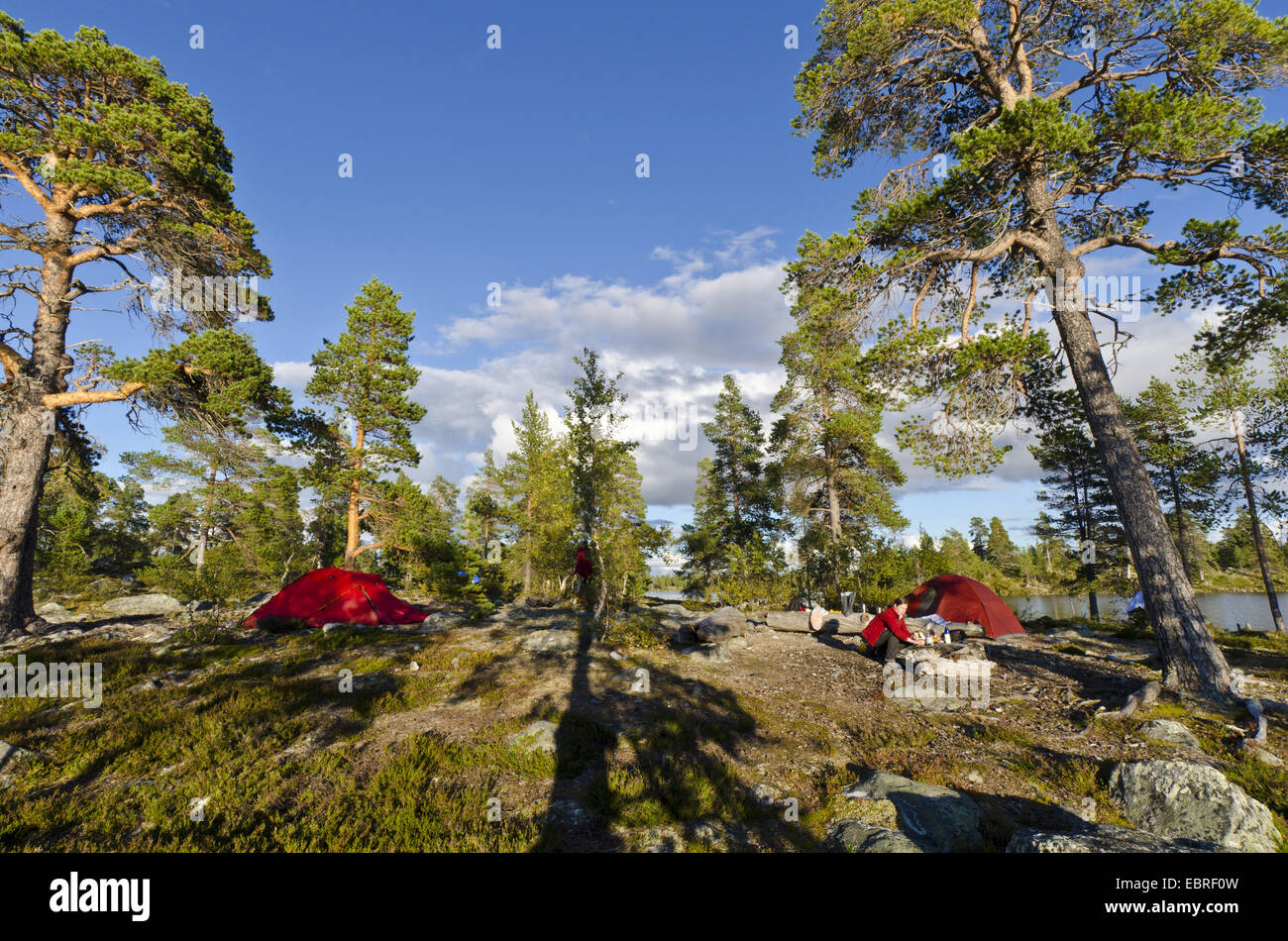 camping at a lakefront, Sweden, Haerjedalen, Rogen Naturreservat Stock ...