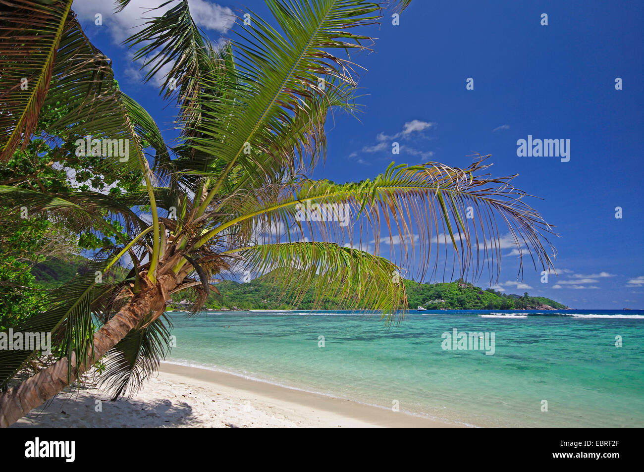 Mahe beaches hi-res stock photography and images - Alamy