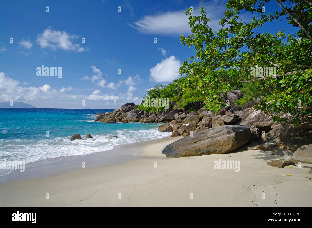 Seychelles anse major mahé hi-res stock photography and images - Alamy