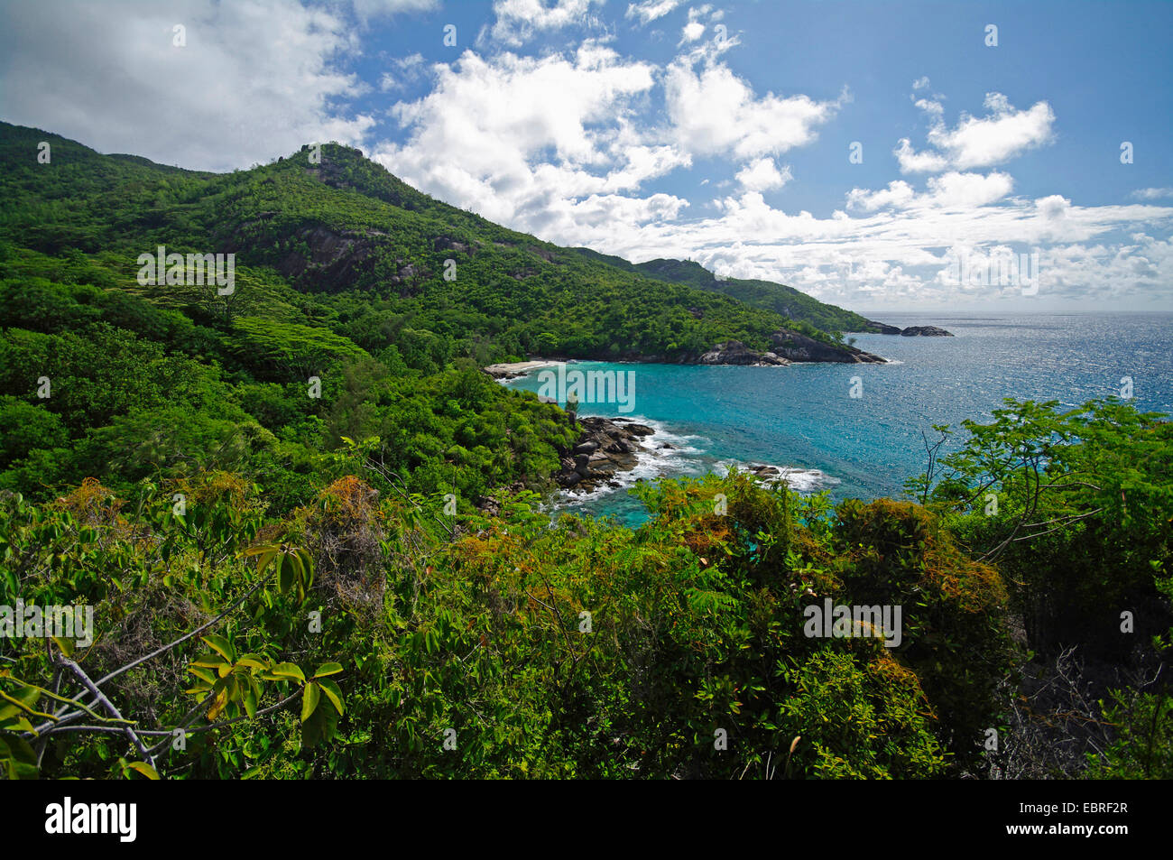 Seychelles anse major mahé hi-res stock photography and images - Alamy