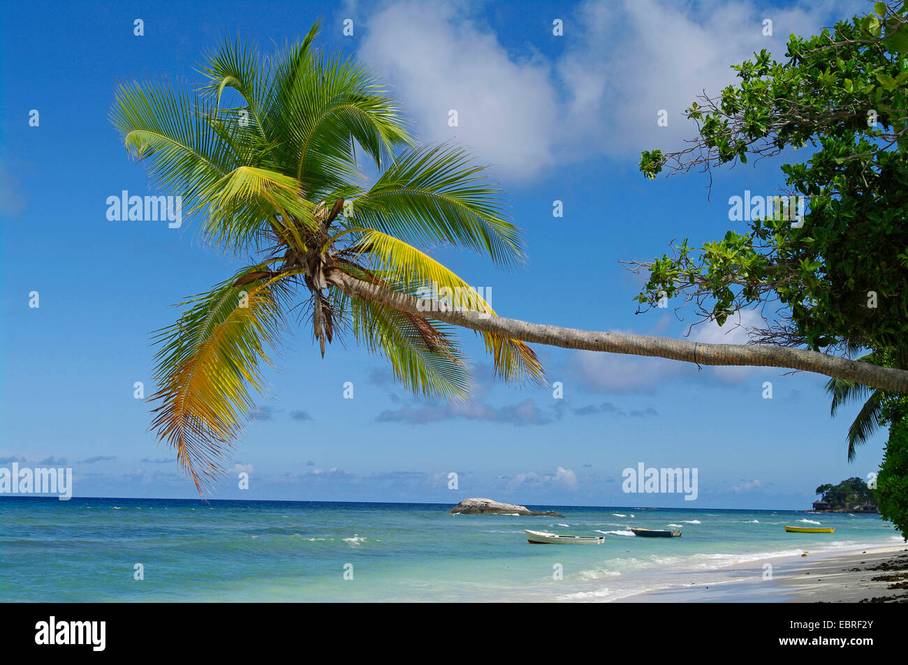 Beau vallon beach seychelles hi-res stock photography and images - Alamy