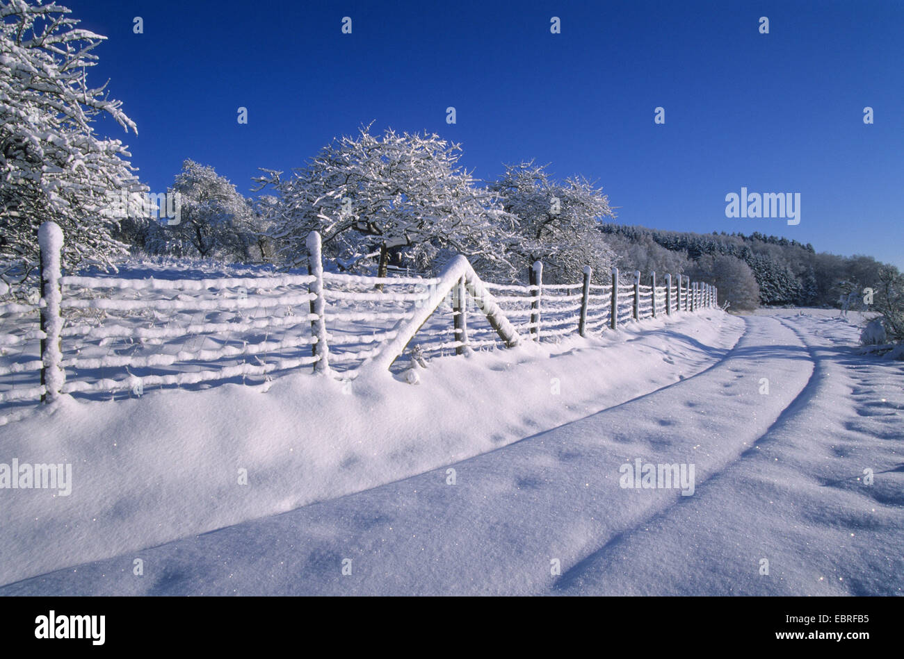 winter landscape with snow covered path and fence, Germany, North Rhine ...