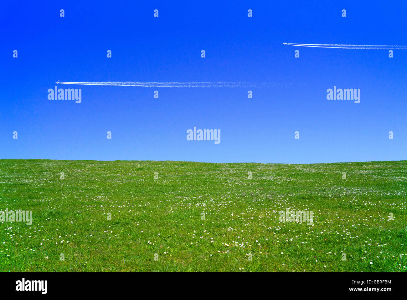 green meadow and blue sky, Germany, Bavaria, Oberbayern, Upper Bavaria ...