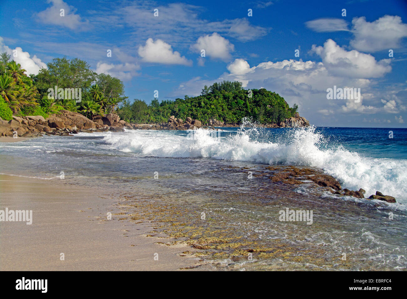 Edge of reef hi-res stock photography and images - Alamy