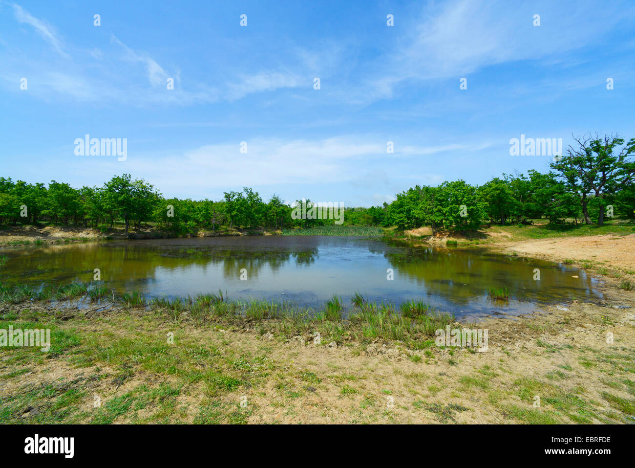 Water trough pond hi-res stock photography and images - Alamy