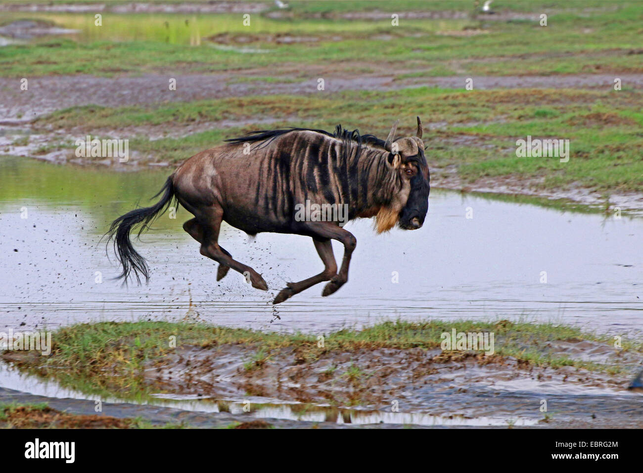 Blurring pace hi-res stock photography and images - Alamy