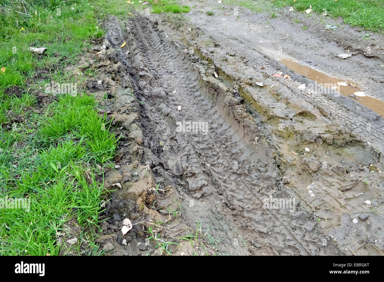 Closeup of vehicle tracks in the mud in a rural settlement Stock Photo ...