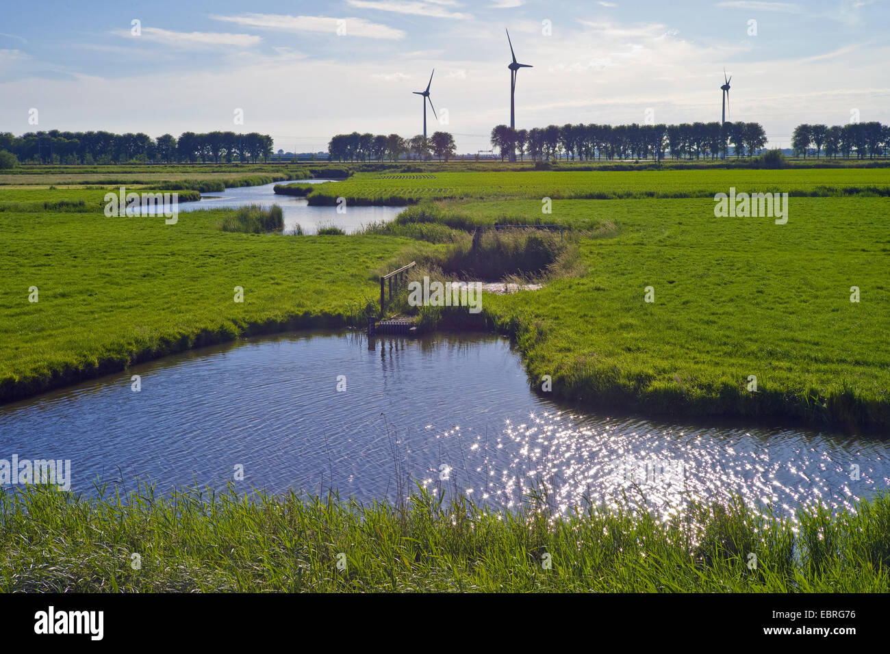 ponds and meadows, wind engines in background, Netherlands, Noord ...