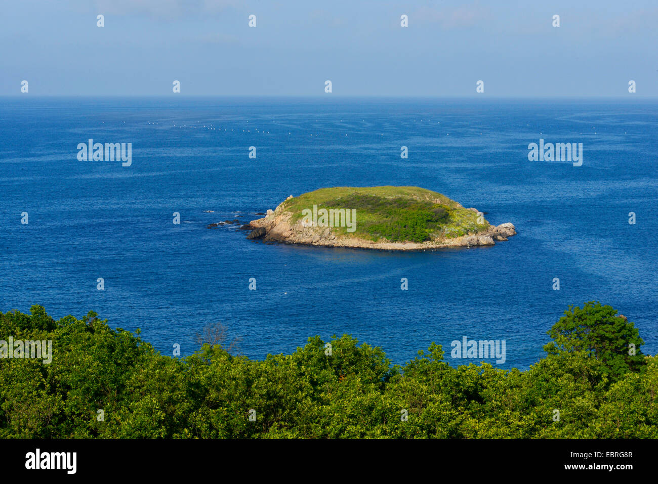 Snake Island Black Sea