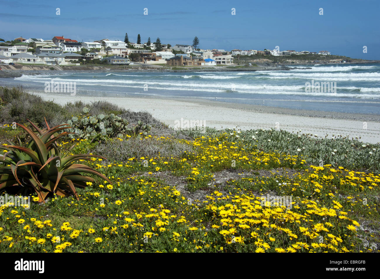 Yzerfontein hi-res stock photography and images - Alamy