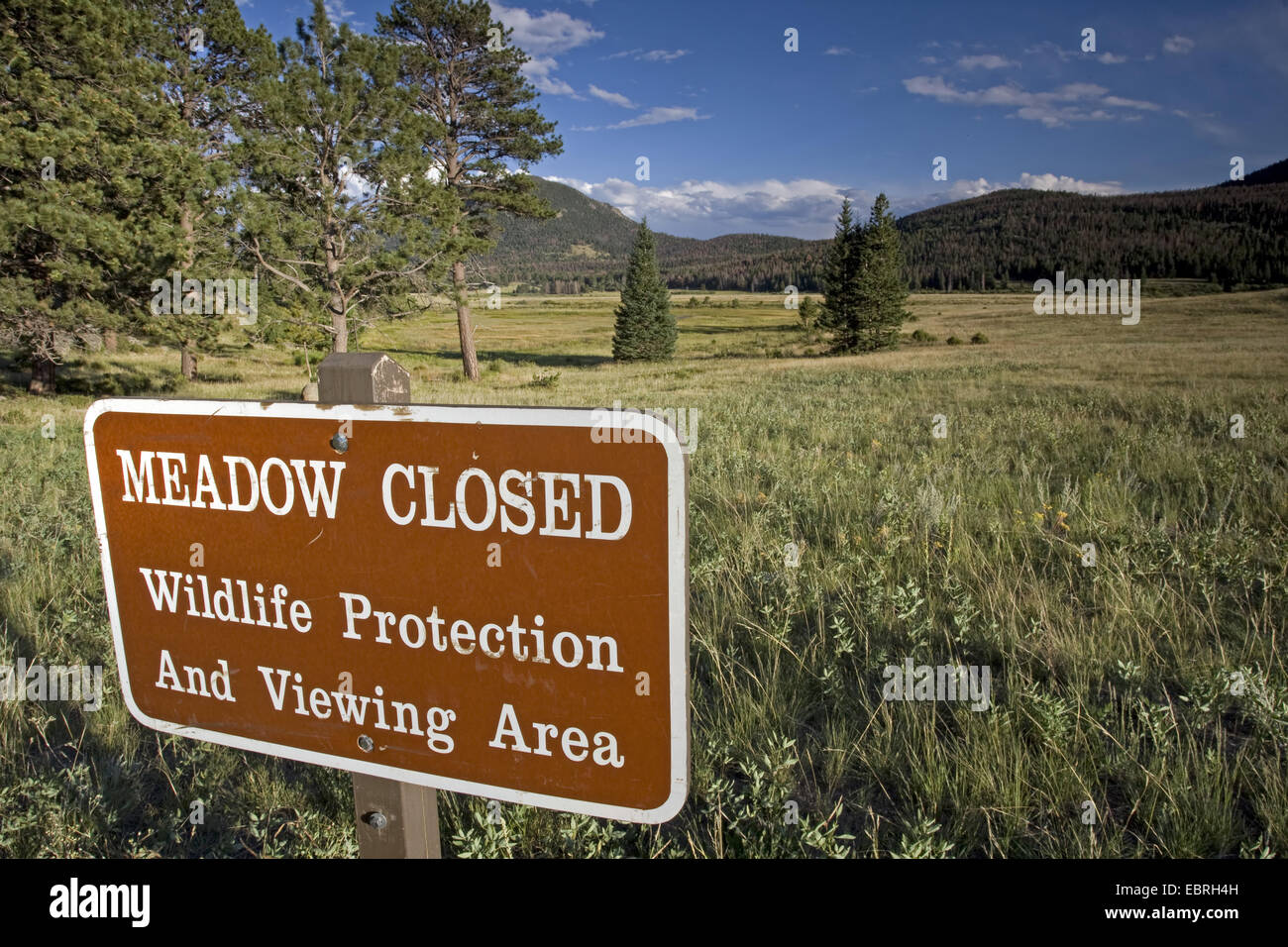 Colorado national forests hi-res stock photography and images - Alamy