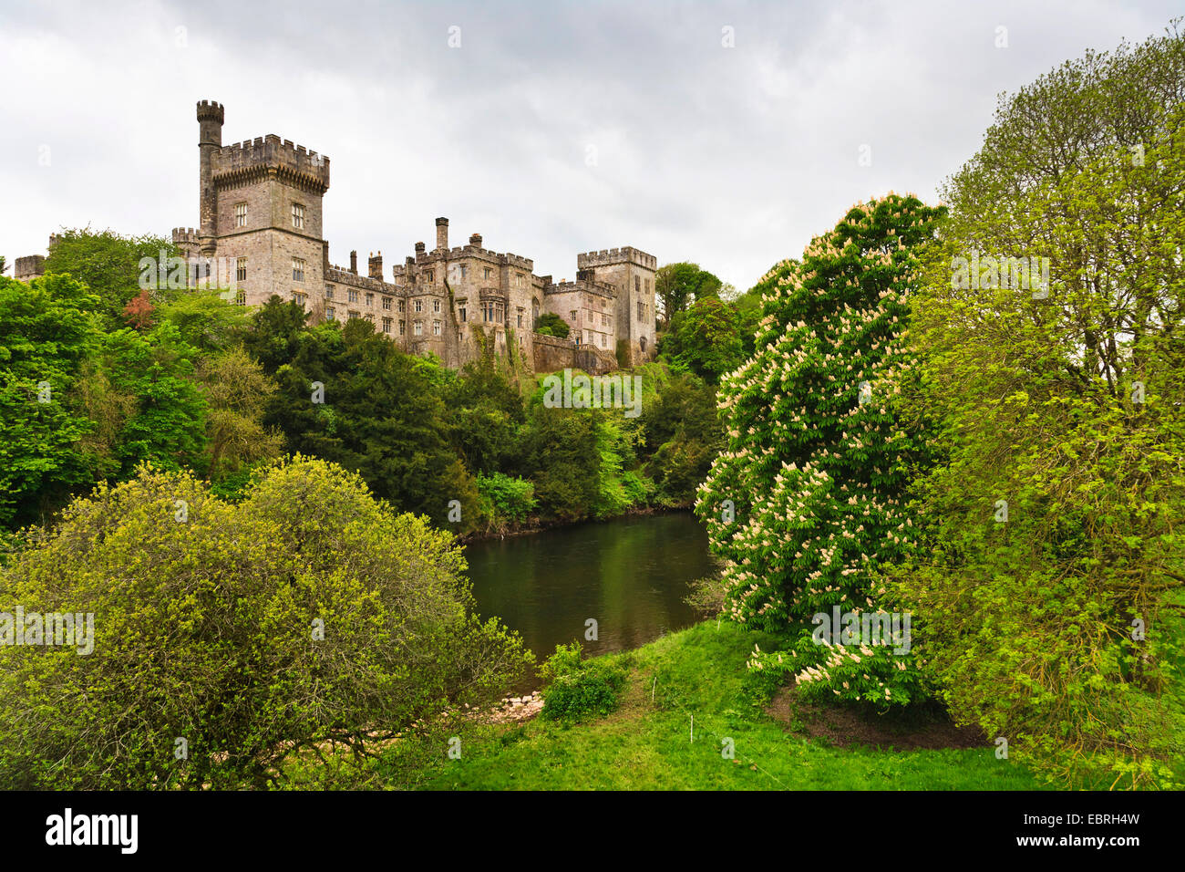 Waterford Ireland High Resolution Stock Photography and Images - Alamy