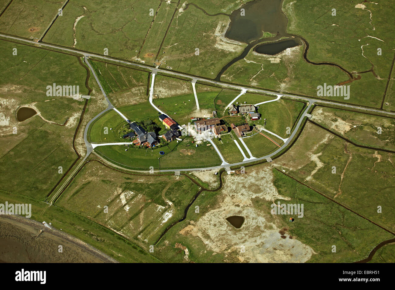 Halligen island farm hi-res stock photography and images - Alamy